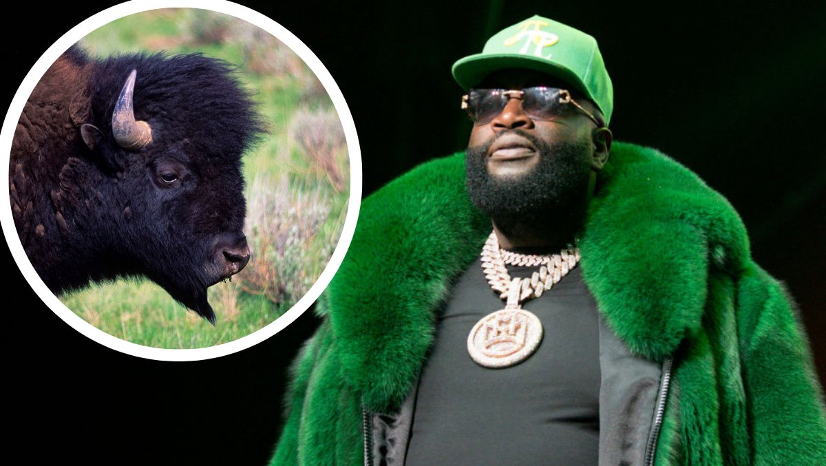 Rick Ross' Buffaloes Keep Escaping From His Georgia Estate | OutKick
