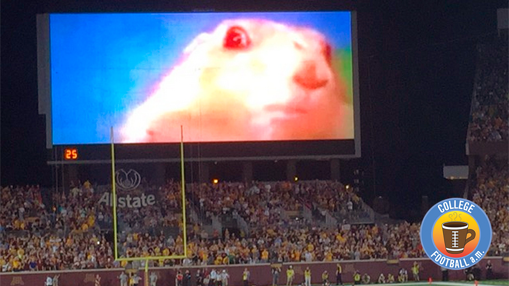 CFB AM: Minnesota's dramatic chipmunk returns to take your soul | OutKick