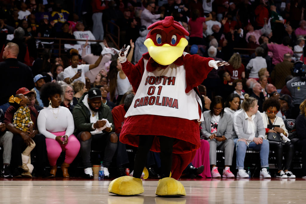 South Carolina Student Finally Takes Off 'Cocky' Mascot After Two Years ...