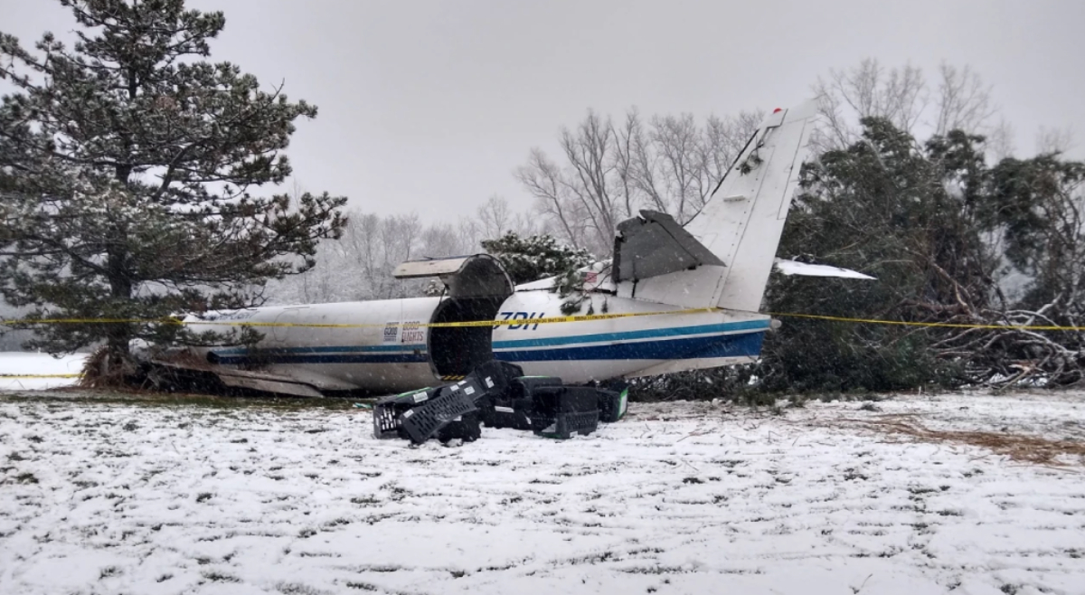Plane Transporting Rescue Dogs Crash Lands On Wisconsin Golf Course ...