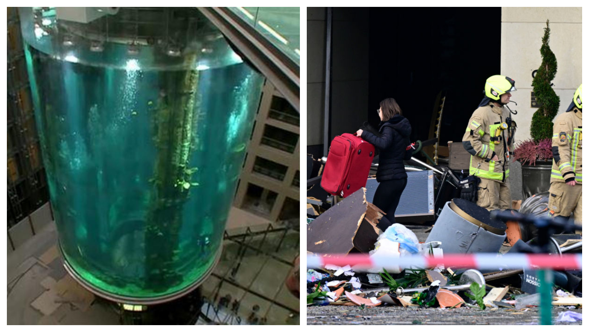 An Aquarium Exploded And Now There's 1,500 Fish And Tons Of Water All ...
