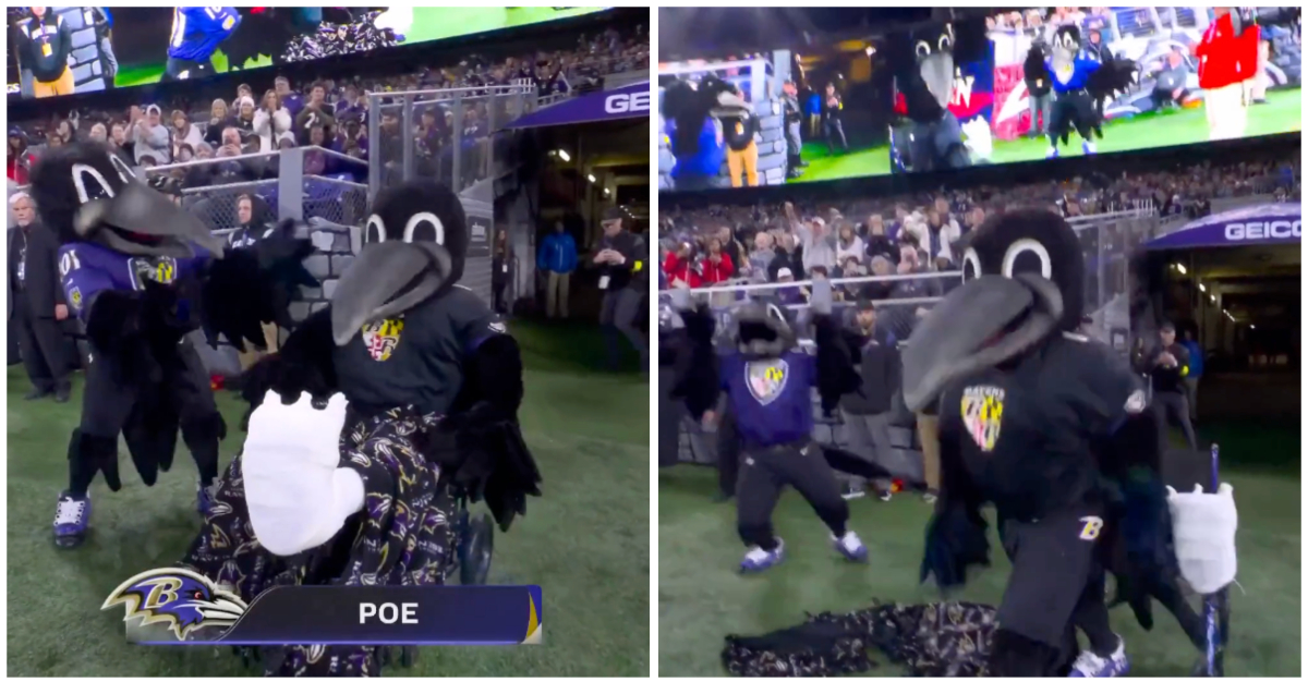 Ravens' Mascot 'Poe' Has Electric Return After Tearing ACL: Video | OutKick