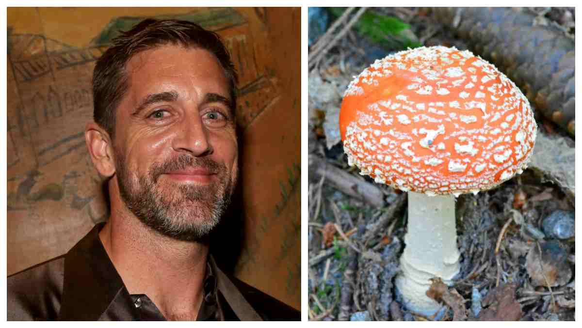 Aaron Rodgers To Speak At National Psychedelics Conference Today | OutKick Aaron Rodgers To Speak At National Psychedelics Conference Today | OutKick