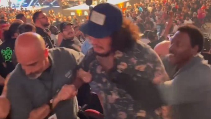 AEW PPV Forbidden Door Brawl Between Fan And Security | OutKick