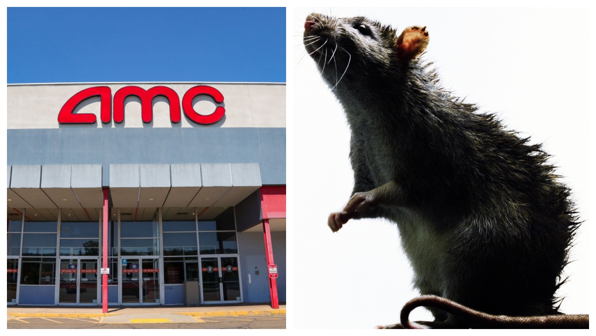 Welcome To New York: Where Rats Run Wild In AMC Theaters | OutKick