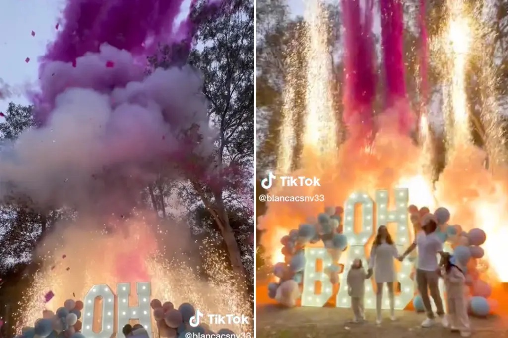 Gender Reveal Fireworks Shows Prove Americans Are Financial Morons ...