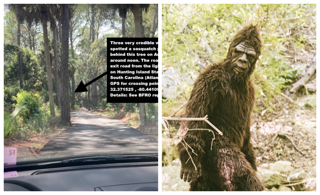 Man Claims To Have Seen A Bigfoot In South Carolina - outkick | OutKick