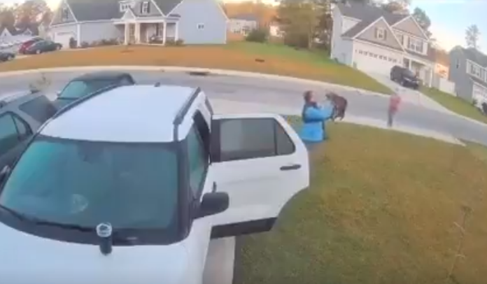 Wild Video Shows Family Being Attacked By Bobcat, Dad Battling The ...