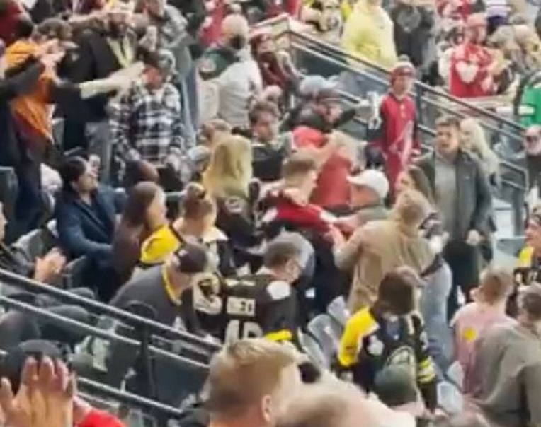 Wild Brawl Busts Out In Stands During Bruins-Coyotes Game; Police ...