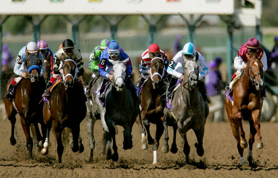 Lead Horse At Lone Star Park Bucks Jockey; Act of God Gives Victory To ...