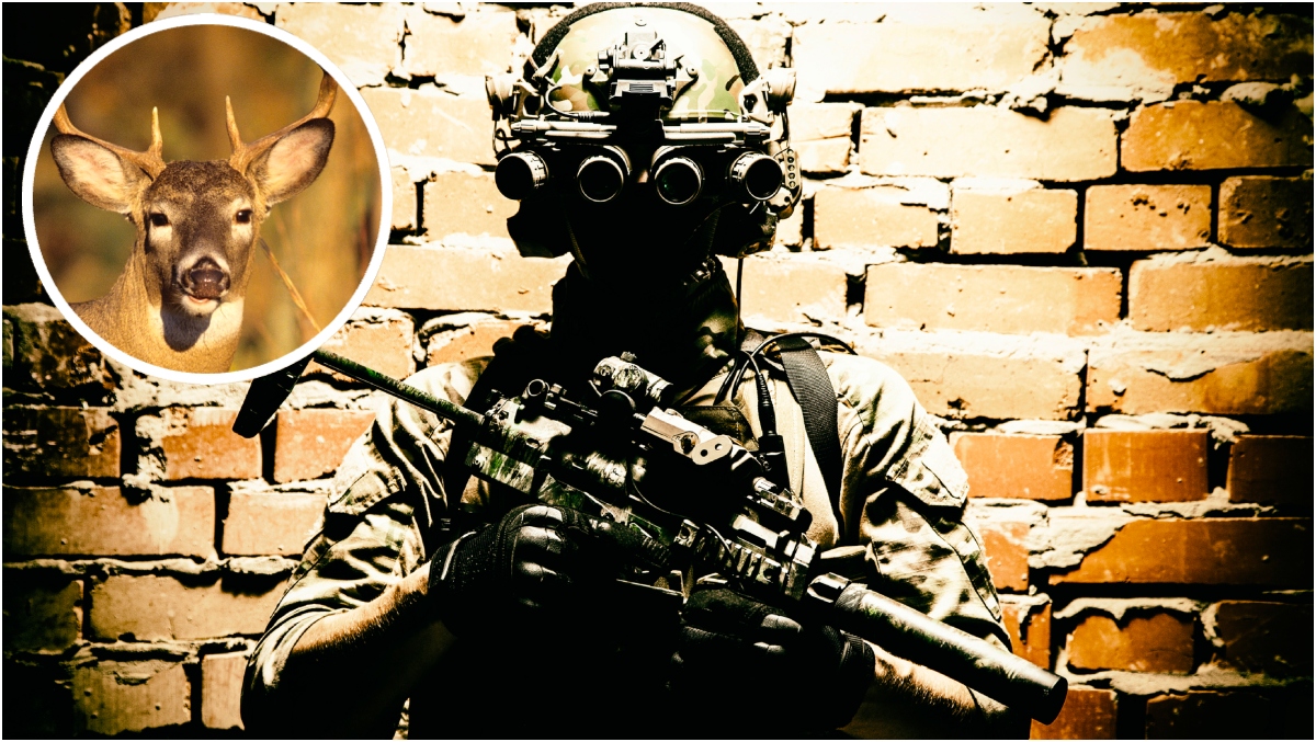 Government Snipers Taking Out Deer In Washington, D.C. - outkick | OutKick