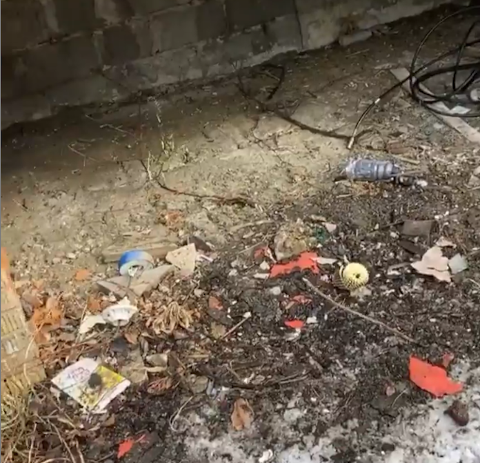 Detroit Woman Begs Thieves To Return Her Front Porch | OutKick