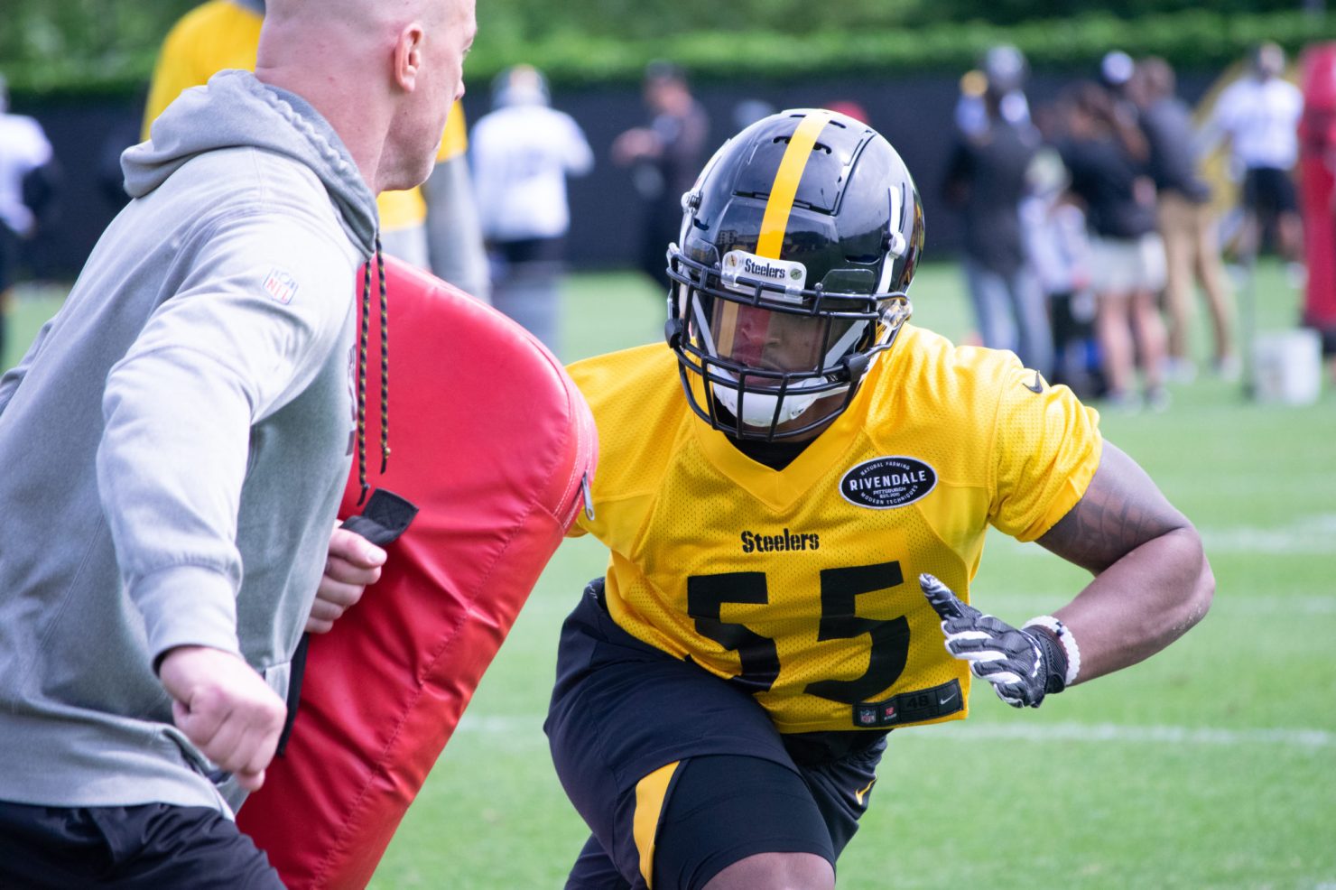 Steelers LB Devin Bush Taking Heat Over Disturbing Cat Video Posted On ...