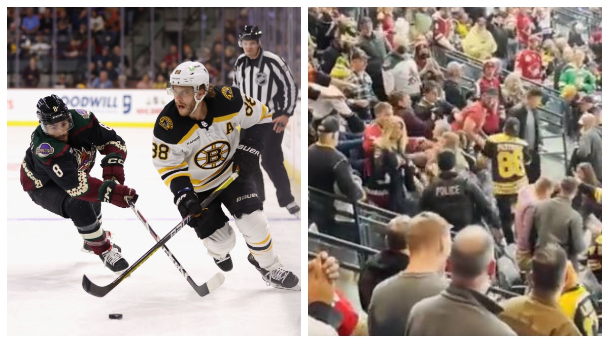 Fan Had Their Fingertip Bitten Off During Wild Brawl Between Bruins ...