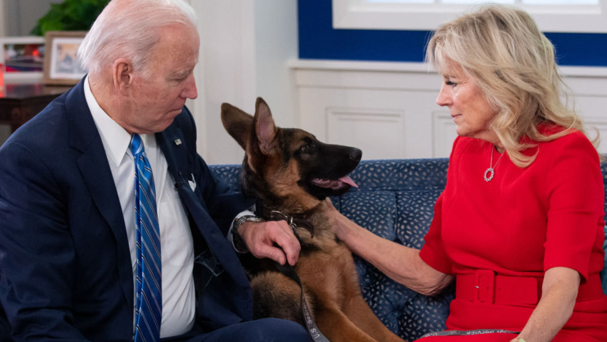 Joe Biden's Dog Commander Bites Yet Another Secret Service Agent | OutKick