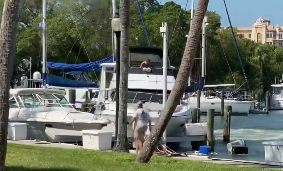 Florida Man Under The Influence Arrested For Crashing Boat Into Marina ...