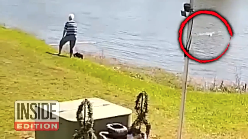 Attn: Old Florida People -- Stop Walking Your Dogs By Ponds & Turning ...