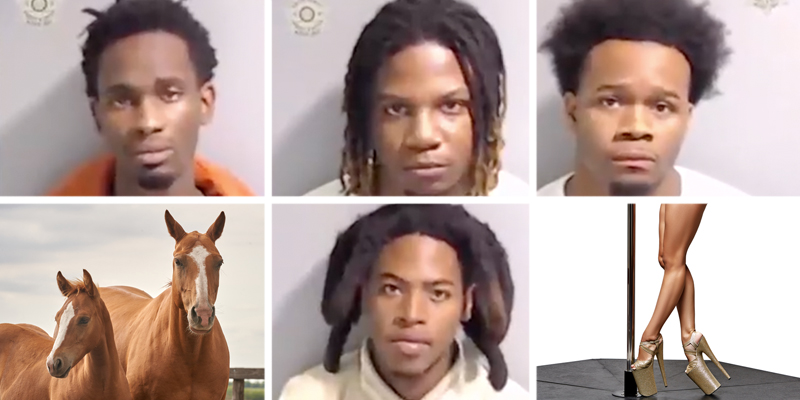 SWAT Team Arrests Four Georgia Squatters For Turning $400k House Into ...