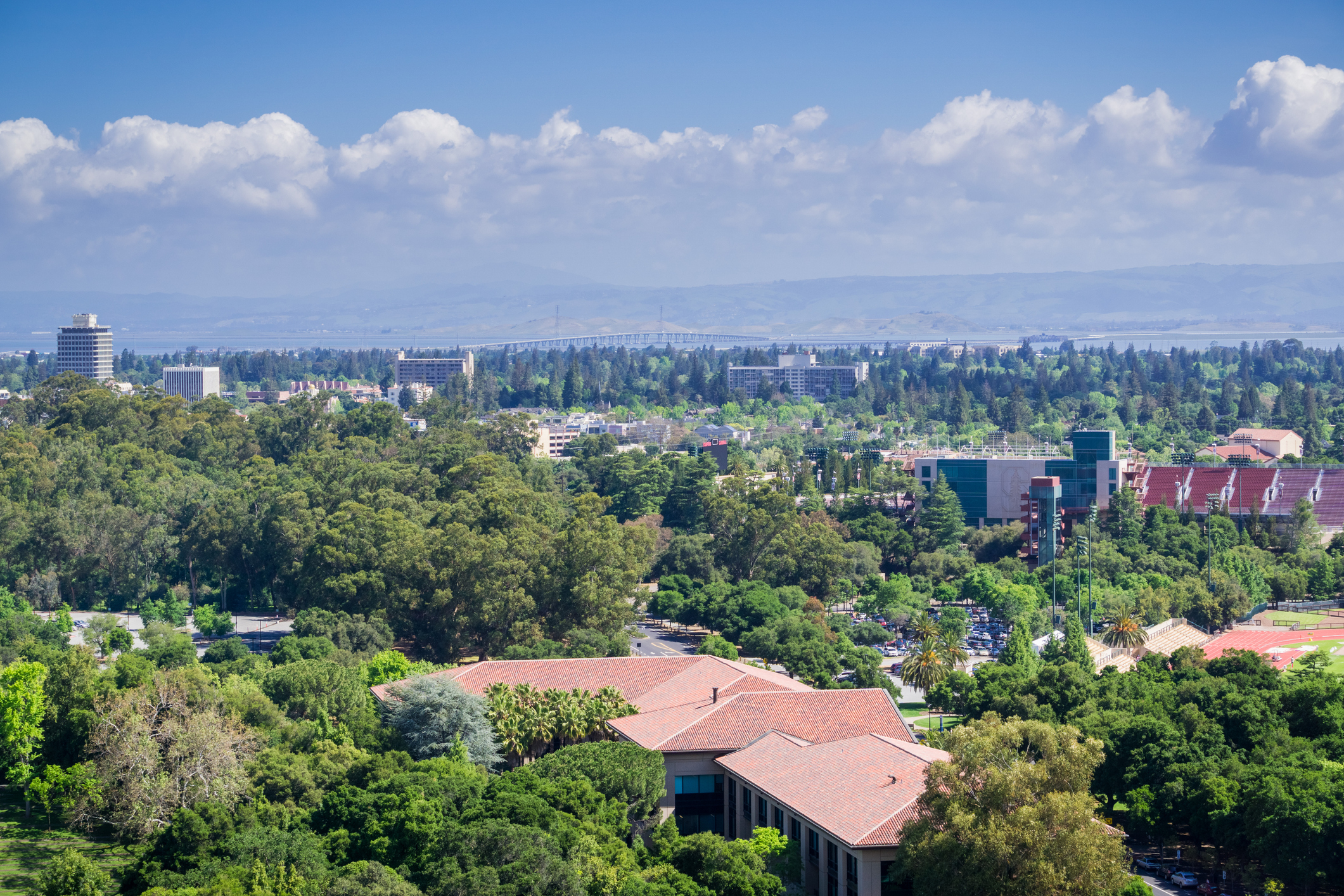 Stanford Parts Ways With DEI Exec Who Accosted Judge - outkick | OutKick