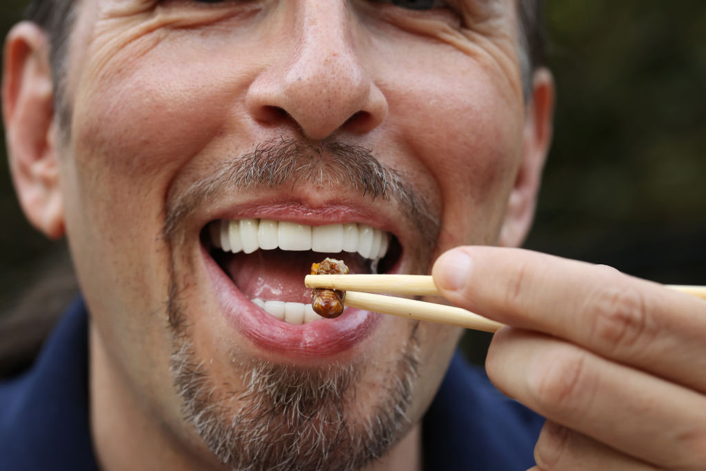 Apparently Eating Cicadas Will Make You Cool This Summer | OutKick