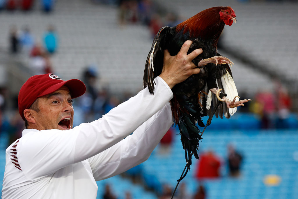 Sadly, South Carolina Didn't Rename Live Rooster Cock Commander | OutKick