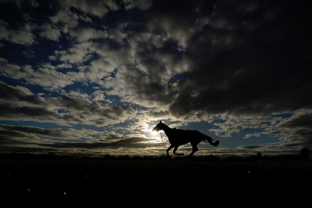 Married Man Arrested For Allegedly Trying To Hire A Prostitute To Have ...