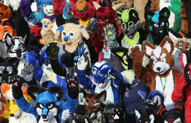 Furry Fight: Chaos Erupts At California Beach 'Furmeet' As Pirate Furry ...