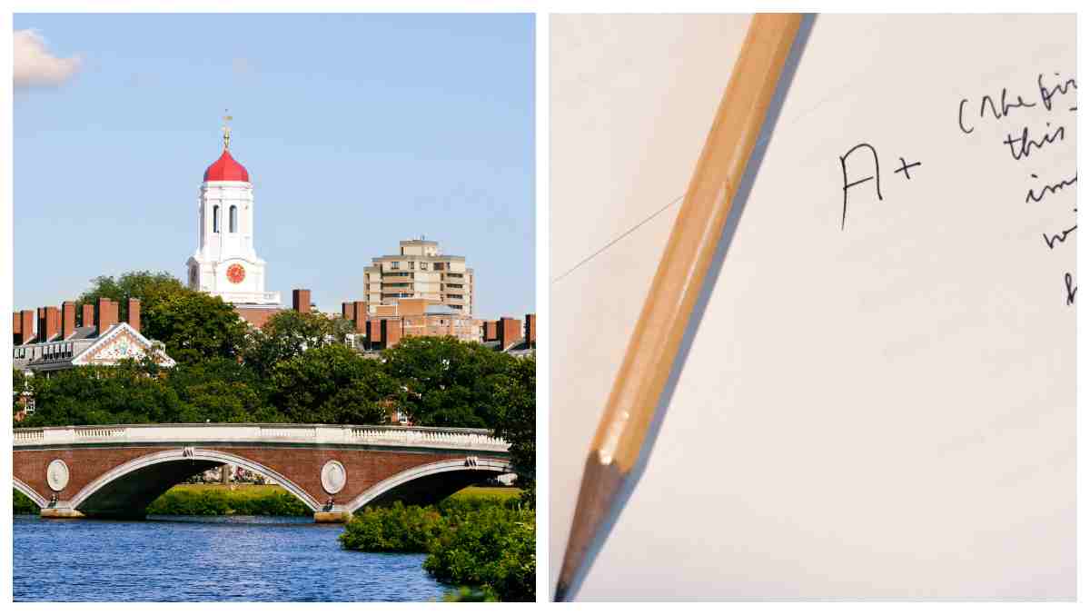 Harvard Scientist Studying Honesty... Gets Busted For Lying | OutKick