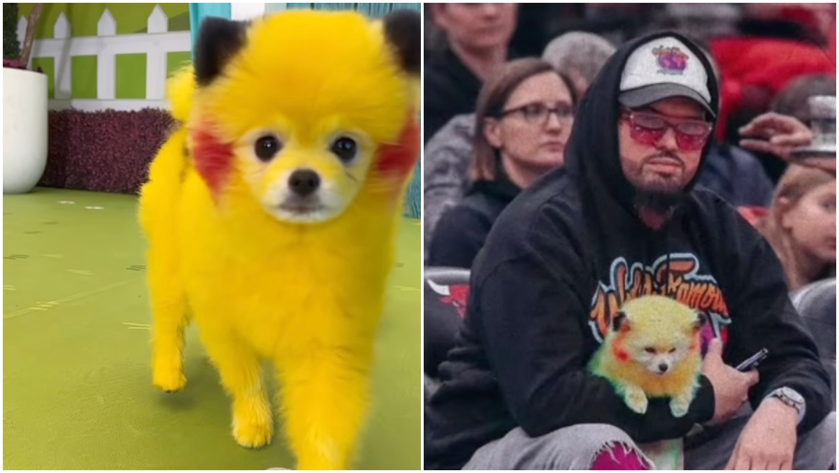 Heat Fan Gets Fined For Dying His Dog To Look Like Pikachu | OutKick