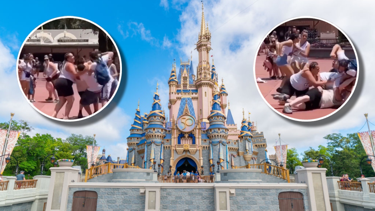 Video: Fists Fly At Disney World's Magic Kingdom Over Family Photo Op ...