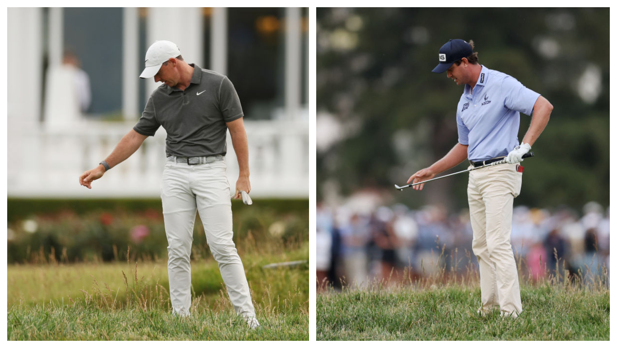 Rory McIlroy & Harris English, Both In Top 5 Of US Open, Have Literally ...