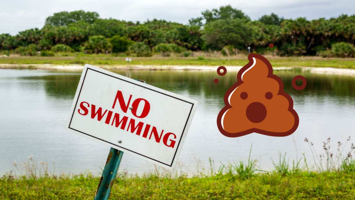 Miami Area Beach Is Full Of Feces So Health Department Says Stay Away ...