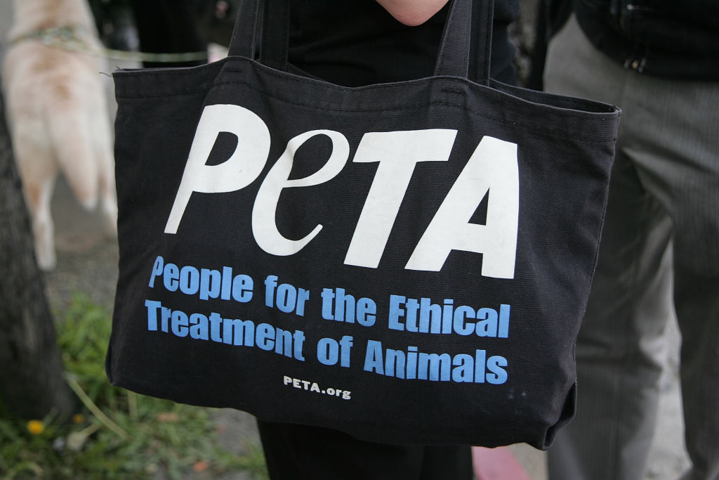 PETA To FIFA: Drop Budweiser For Amputating Clydesdales Tailbones | OutKick