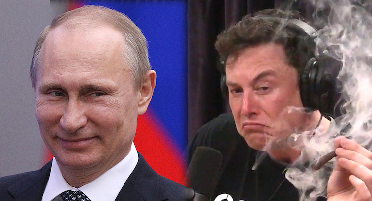 Putin Vs. Musk Street Fight For Ownership Of Ukraine: Who You Got ...