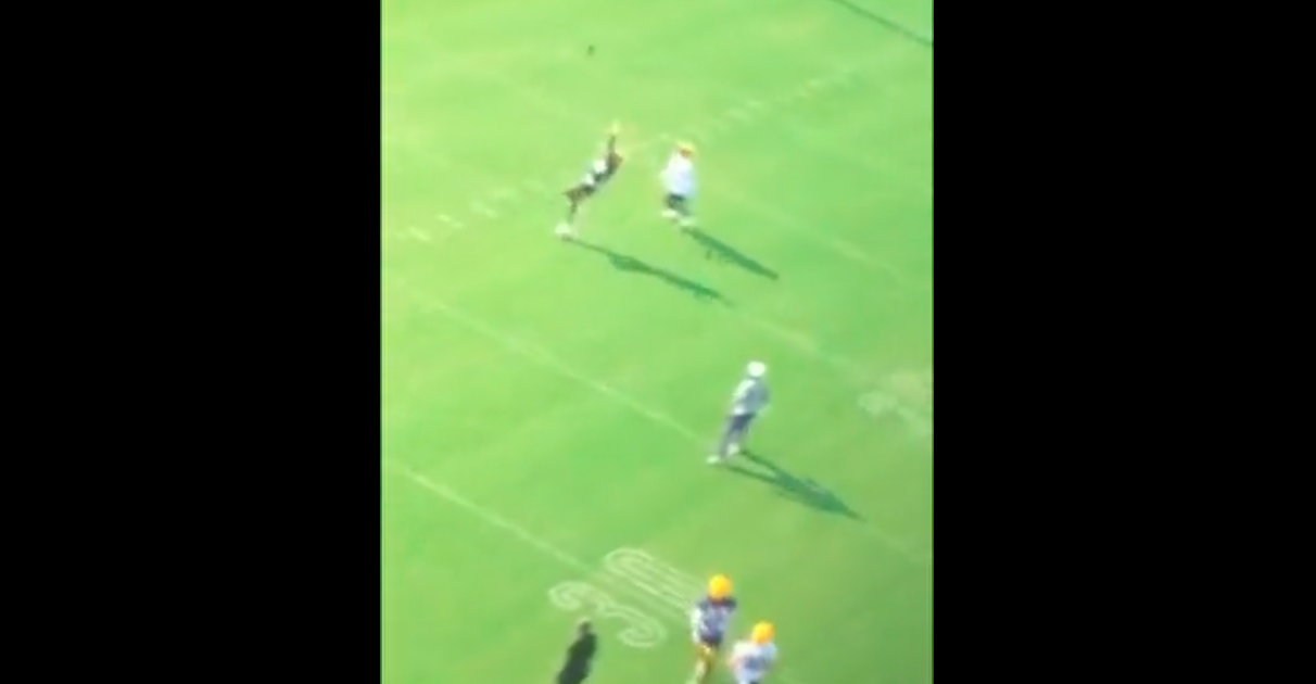 Watch: LSU DB Major Burns Makes Impressive One-Handed INT At Practice ...