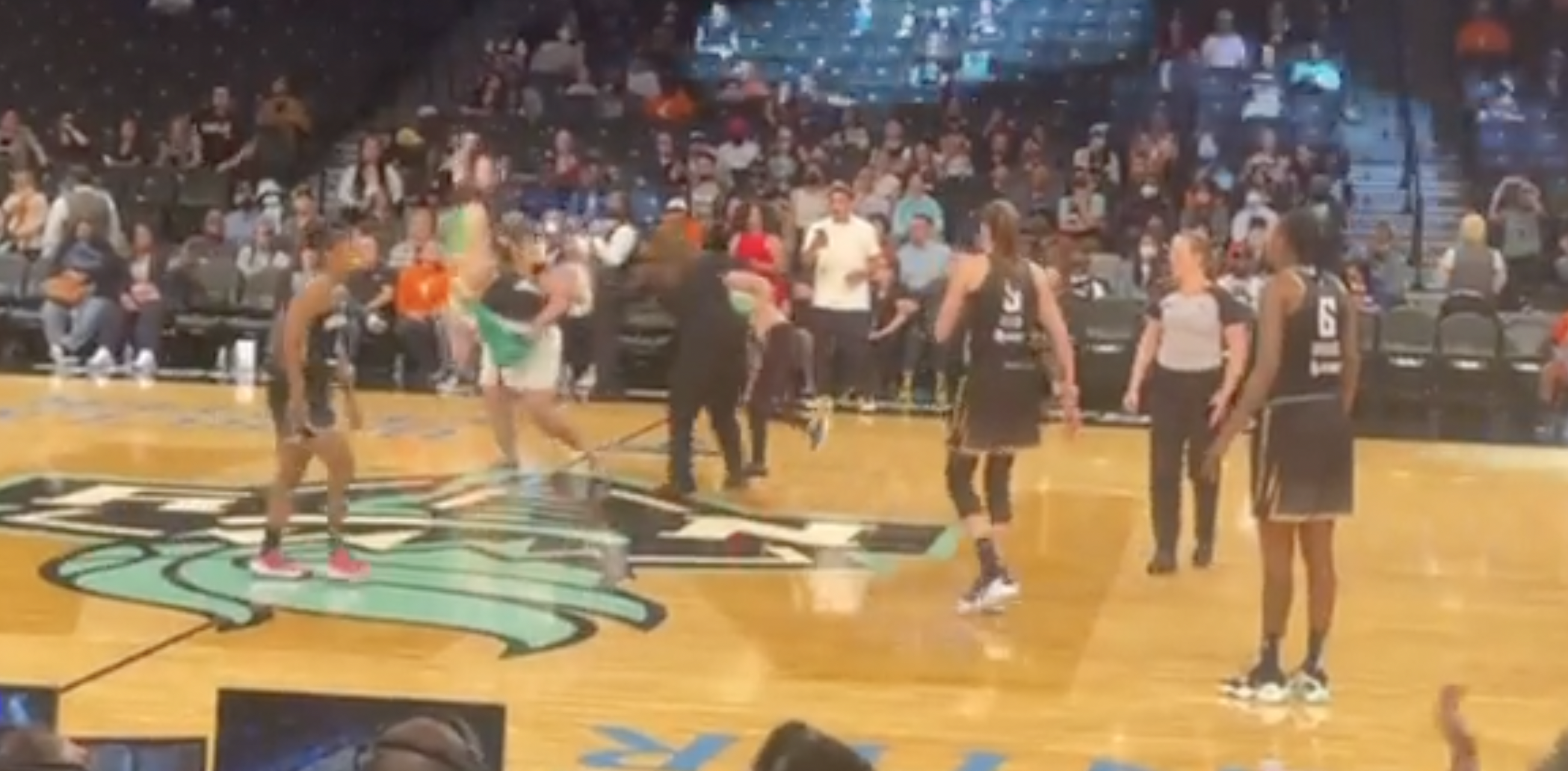 Topless Female Protesters Storm WNBA Game to Protest Overturning Roe v ...