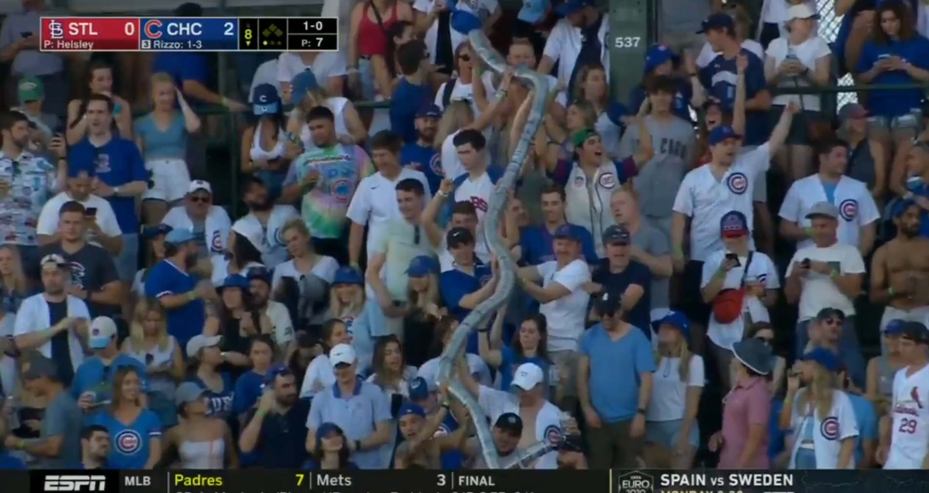 Incredible Beer Snake At Cubs Game Proves America Is Back | OutKick