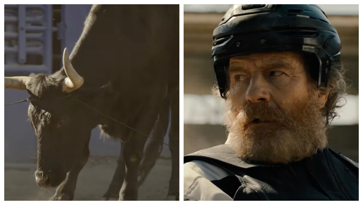 PETA Throws A Fit Over Bull Rodeo Scene In 'Your Honor' - outkick | OutKick