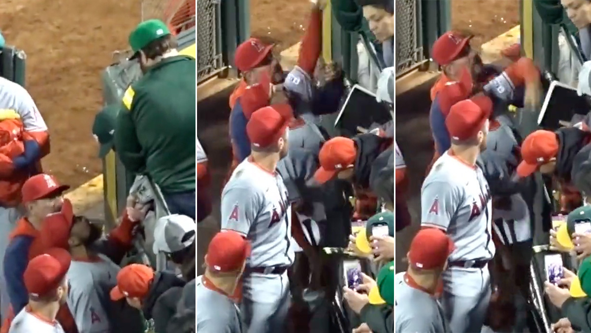 Anthony Rendon Fan Altercation: New Video Emerges; Angels Players ...