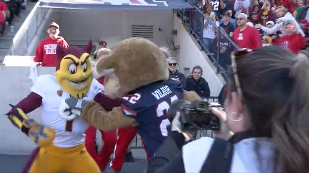 ASU Sun Devil, Arizona Wildcat Trade HUGE Haymakers In Mascot Fight ...
