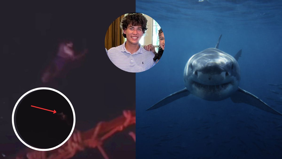 NIGHTMARE FUEL: Kid Jumps Off A Cruise Ship Into A Pitch Black Ocean ...