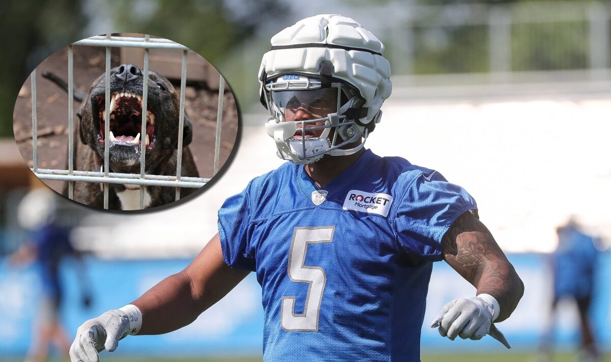 David Montgomery Hit With Lawsuit After Alleged Pitbull Attack | OutKick