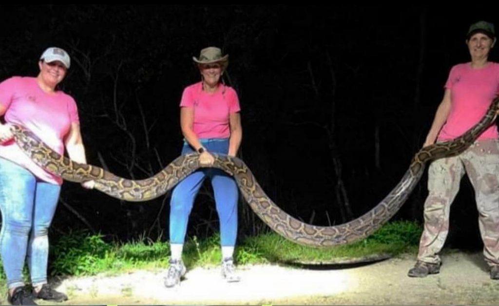 Female Python Hunters Are Next Level: Tomi Lahren | OutKick