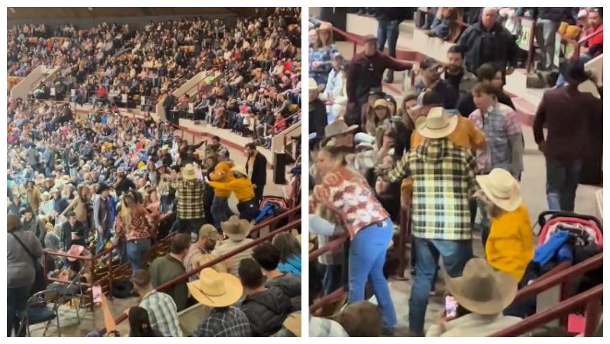 Sport Coat Wearing Cowboy At Rodeo Drops Two Guys During A Fight Then ...