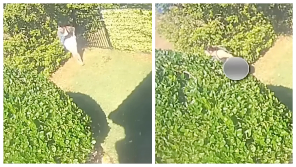 Woman With 'Shiny Rear End' Terrorizing Florida By Squatting In Yards ...