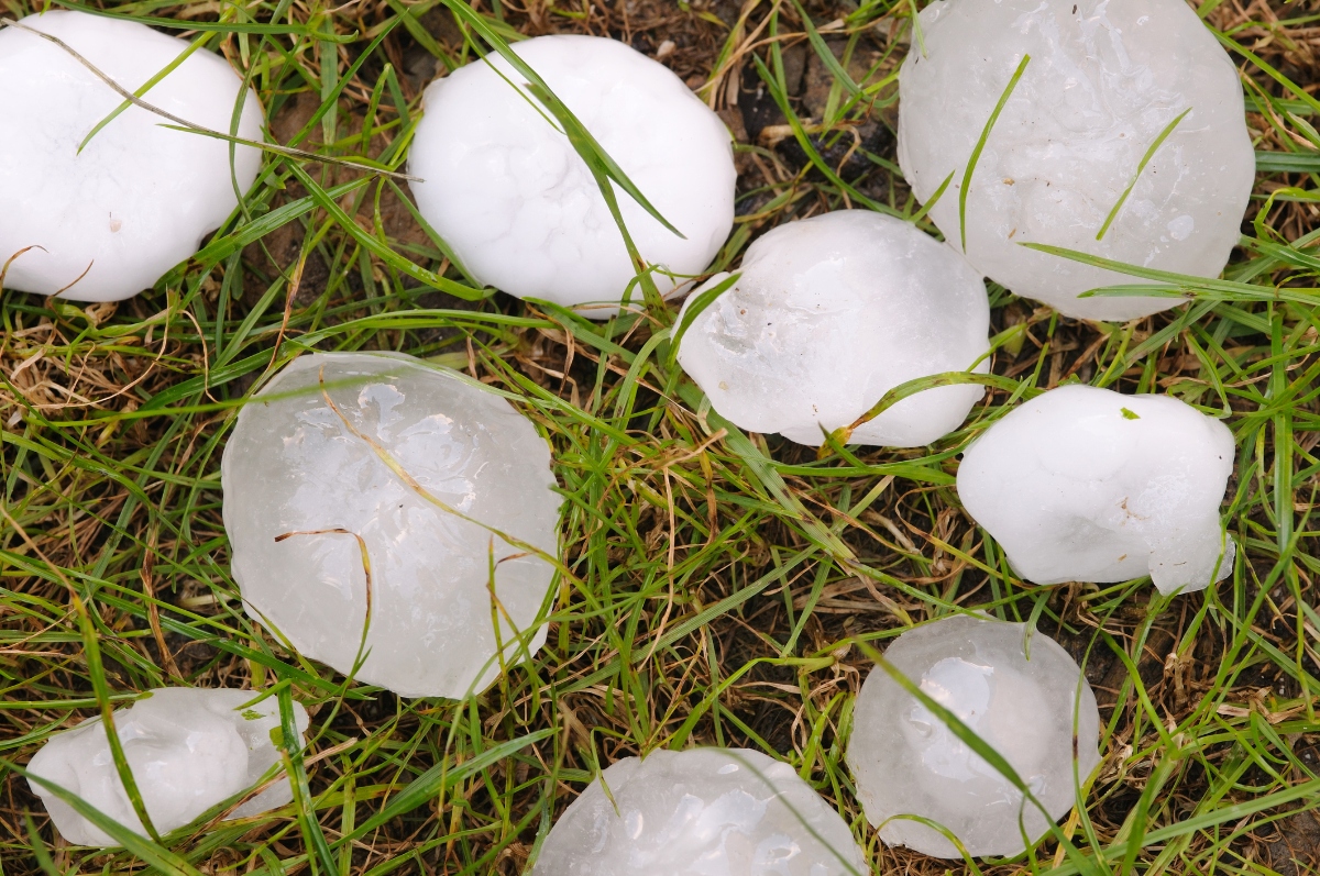 Hail Storm Destroys Greens At Minnesota Golf Course: Video