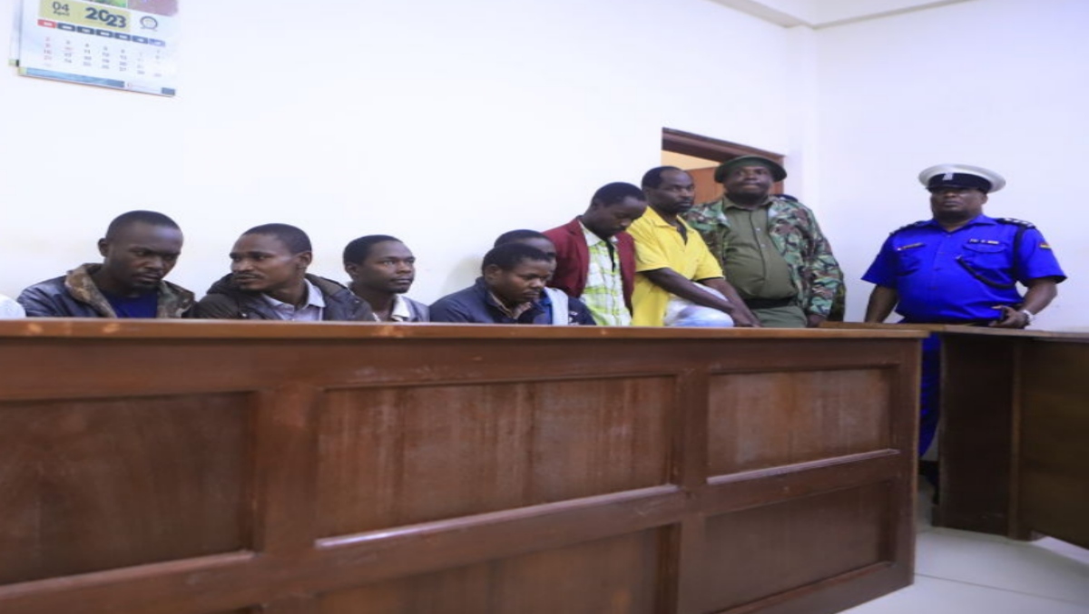 Fake Lawyer Wins 26-Straight Cases Before Being Caught And Arrested ...