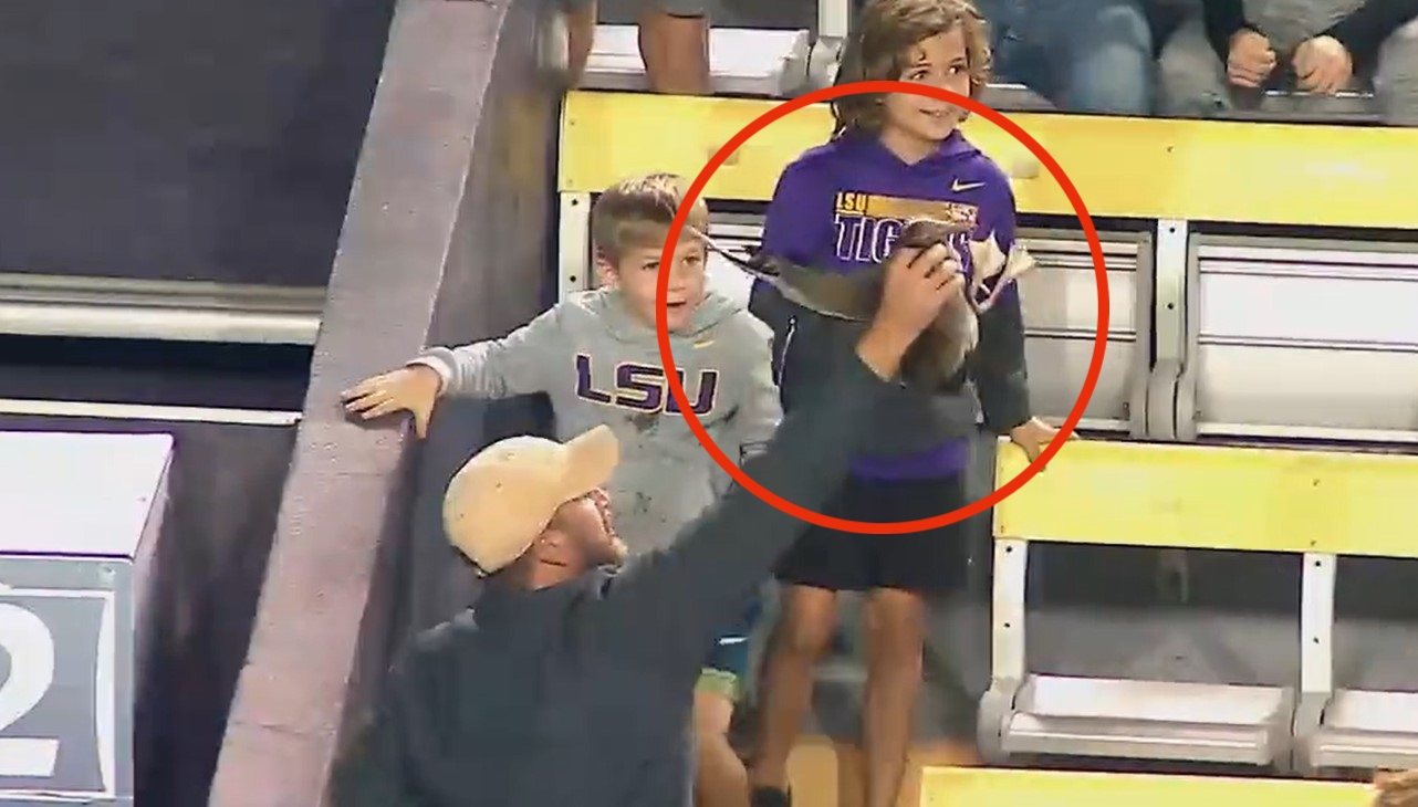 Fan Catches Wild Duck That Crashed LSU-Florida Game | OutKick