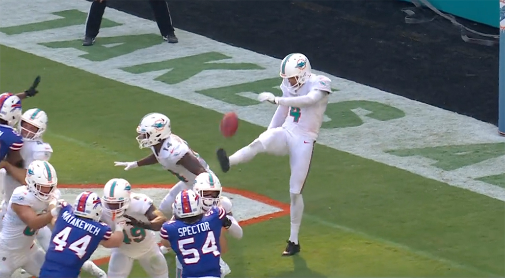 BUTT PUNT! Dolphins Kick Ball Off Of Teammate's Rear End For Safety ...