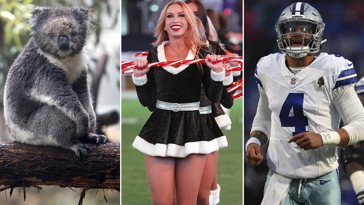 Clay Travis' NFL Six Pack, Week 16: Christmas Weekend Winners From Down ...